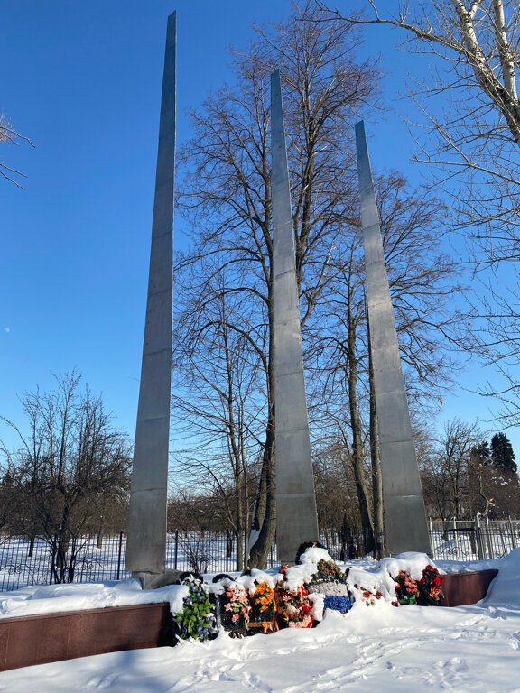 Anıt, heykel Братская могила № 15, Voronej, foto