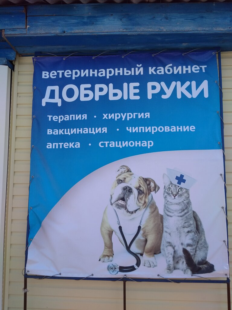 Petshop Добрые руки, Tümen (Tiumenskaya) oblastı, foto