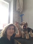 Fancy pets groom (Semashko Lane No:85/87), evcil hayvan kuaförleri  Rostov‑na‑Donu'dan