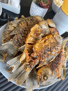Е&м (ulitsa Novosyolov No:2В, poselok Zhemchuzhny), kafe  Hakasya'dan