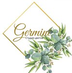 Germini (Krestovaya ulitsa No:137, Tsentralniy Microdistrict), çiçekçiler  Rybinsk'ten