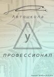 Professional (Galerniy Drive No:3), sürücü kursları  Saint‑Petersburg'dan