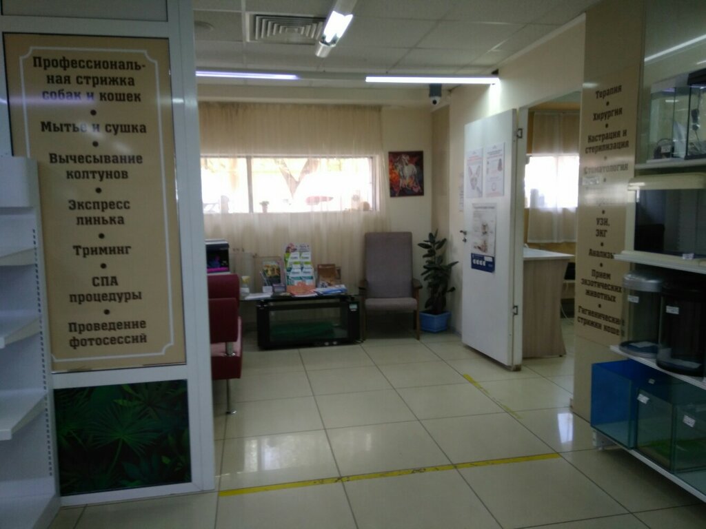 Veteriner klinikleri Ан-го, Barnaul, foto
