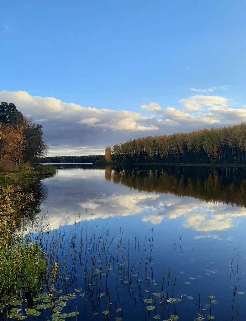 i̇skele Jetty , Tverskaya oblastı, foto