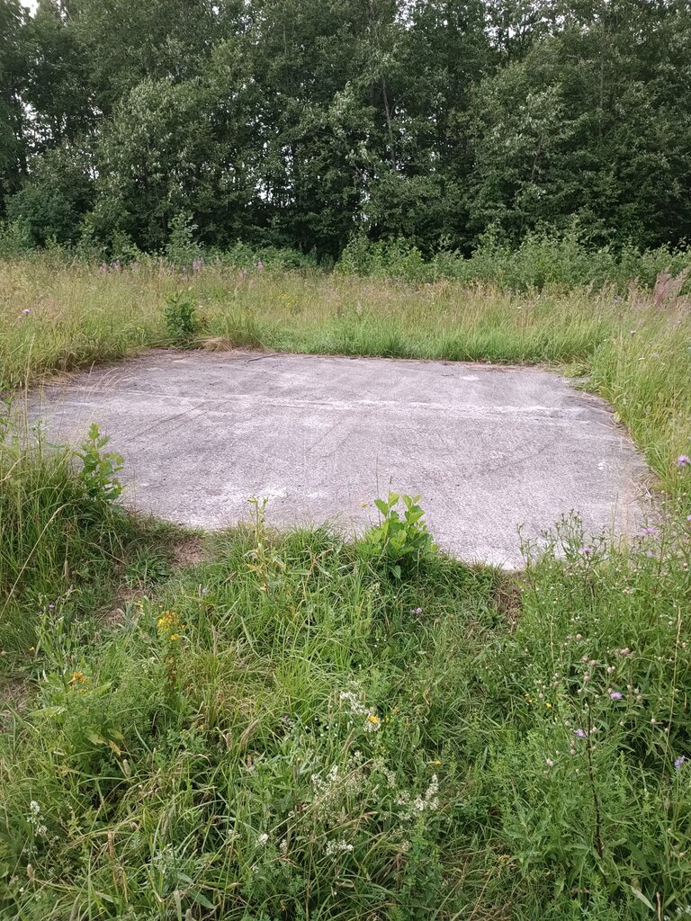 Helikopter pisti вертолётная площадка Притыкино, Tverskaya oblastı, foto