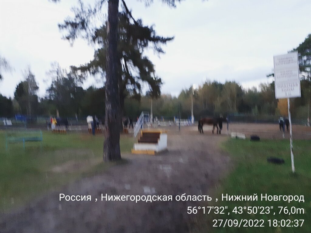 At ve binicilik kulüpleri Зооцентр Надежда, Nijni Novgorod, foto