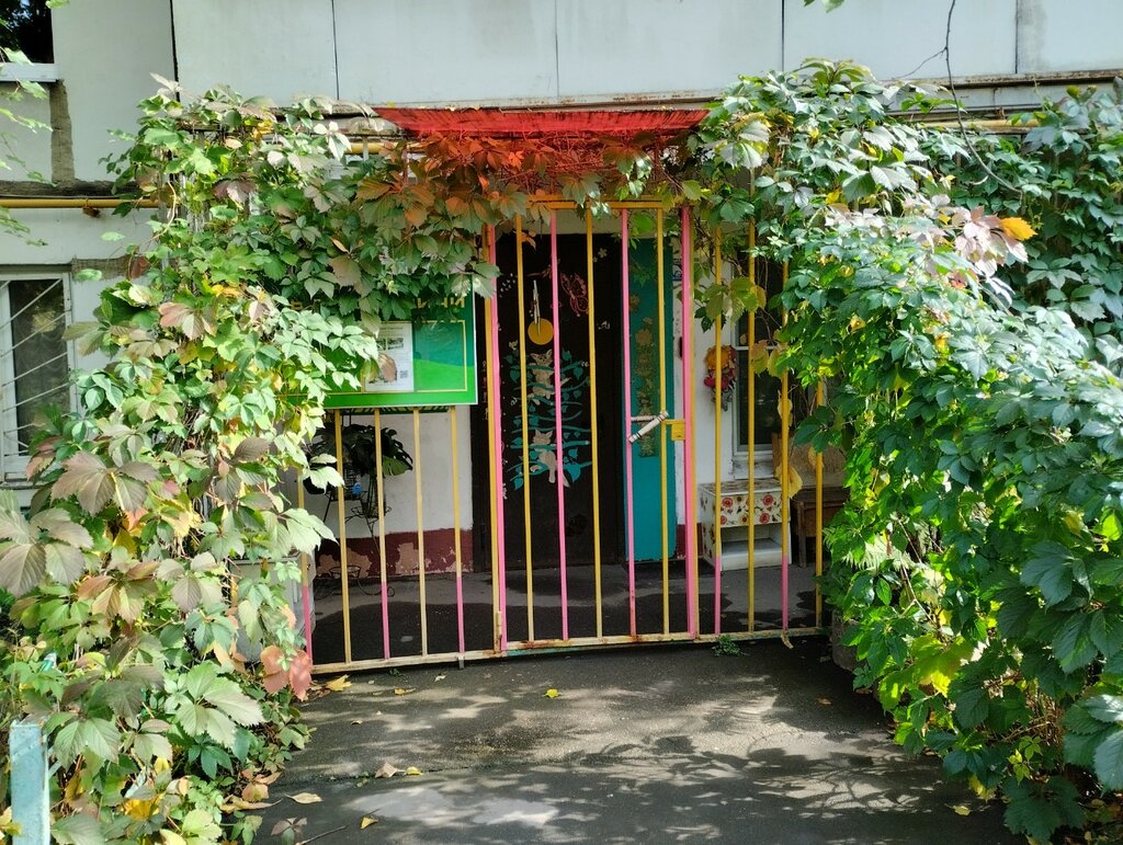 Kurs Юные москвичи, Moskova, foto