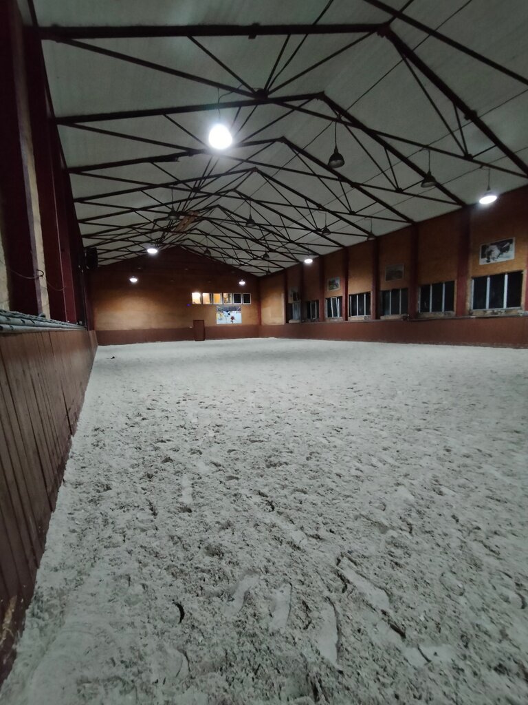 At ve binicilik kulüpleri Horseman-school, Moskova ve Moskovskaya oblastı, foto