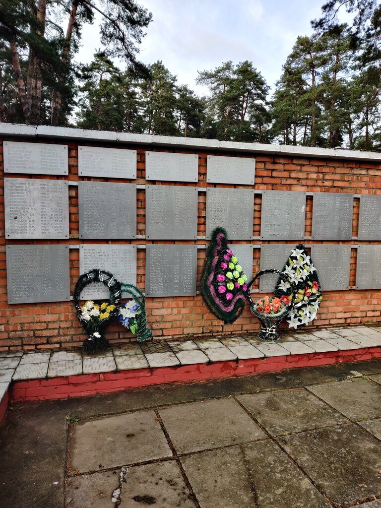 Anıt, heykel Воинское захоронение № 4164, Baran, foto