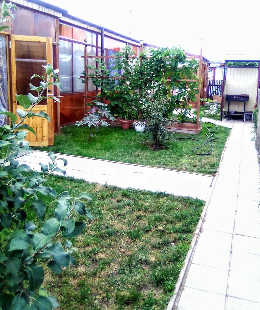 Otel Отдых у Натальи, Yarovoye, foto