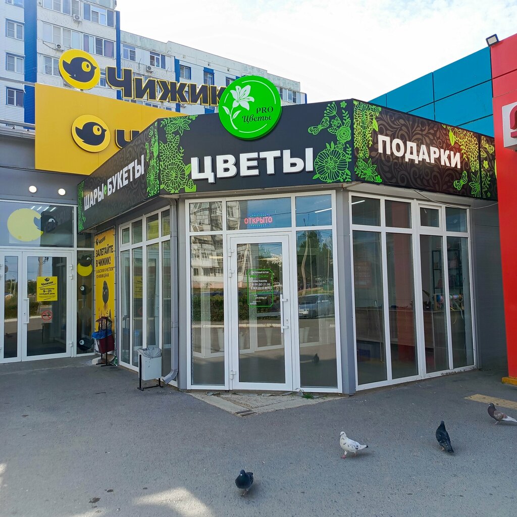 Çiçekçiler Pro Цветы, Volgodonsk, foto