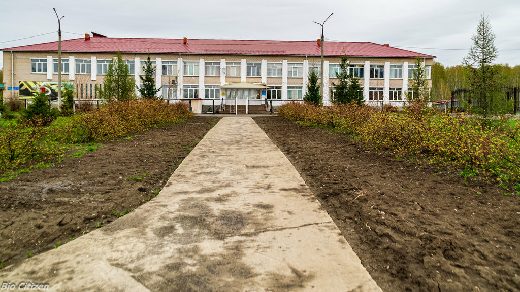Ortaokul MEI Secondary school Roshchinskaya, Çeliabinskaya oblastı, foto