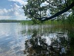 Турстоянка На камне (Smolensk Region, Demidovskiy munitsipalny okrug, Zaboryevskoye selskoye poseleniye), kamp alanları  Smolenskaya oblastından