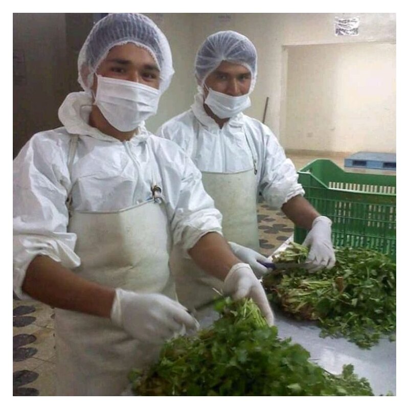 Gıda üreticileri Todo Fresco - Distribuidora de frutas y verduras, Lima, foto
