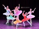 Shall We Dance (Sicily, Palermo, Capaci, Cortile Conte Sforza, 2), dans okulları  Sicilya'dan