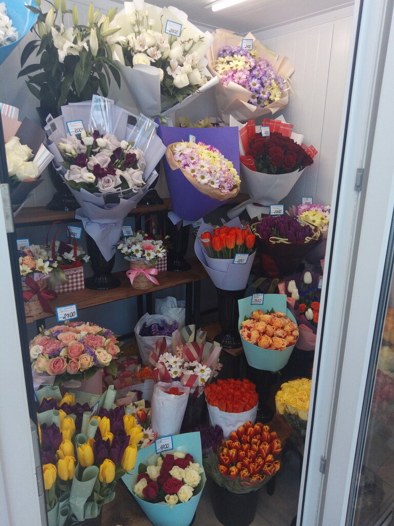 Çiçekçiler Цветы у дома, Tolyatti (Togliatti), foto