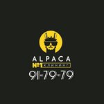 Alpacacleaning (Chermenskoye shosse No:1), kuru temizlemeciler  Vladikavkaz'dan