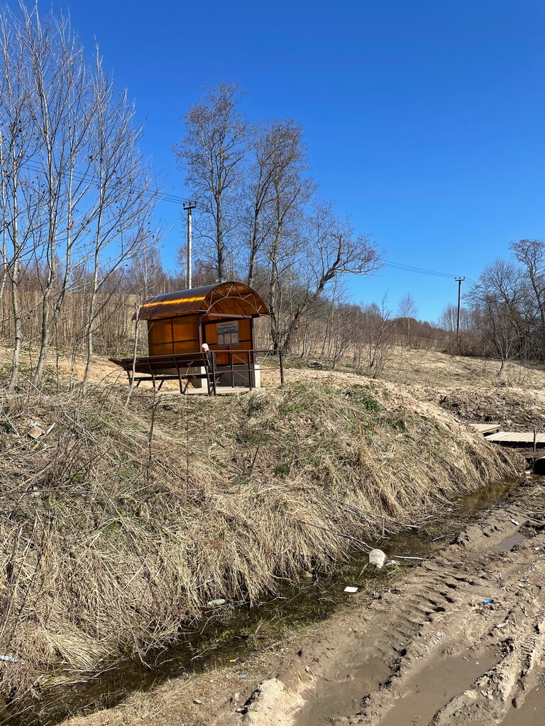 Pınar, çay Spring, stream, Moskova ve Moskovskaya oblastı, foto