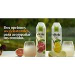 Citric Salta (Provincia de Salta, Departamento Capital), alkolsüz içecekler