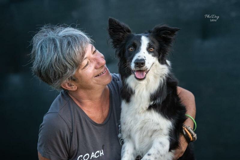 Evcil hayvan yetiştiricileri Dog Agility Team, Lazio, foto