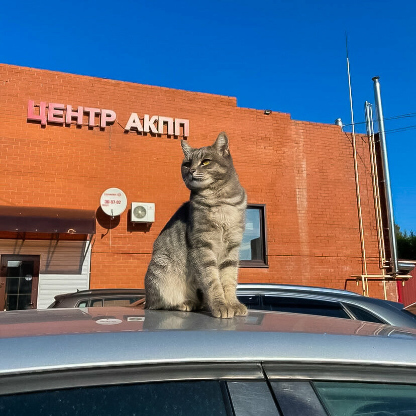 Otomobil servisi Tsentr Akpp, Naberejniye Çelny (Yar Çallı), foto