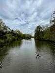 Spring, stream (Moscow Region, Mytishi Urban District, posyolok Nagornoye), pınar, çay  Moskova ve Moskovskaya oblastından