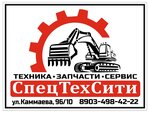 SpecTechSiti (Kammaeva Street No:96), otomobil yedek parçaları  Makhachkala'dan