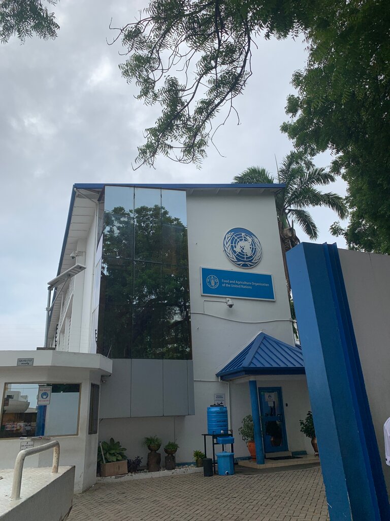 Yemek şirketleri Food and agriculture organization of the Un, Akra, foto