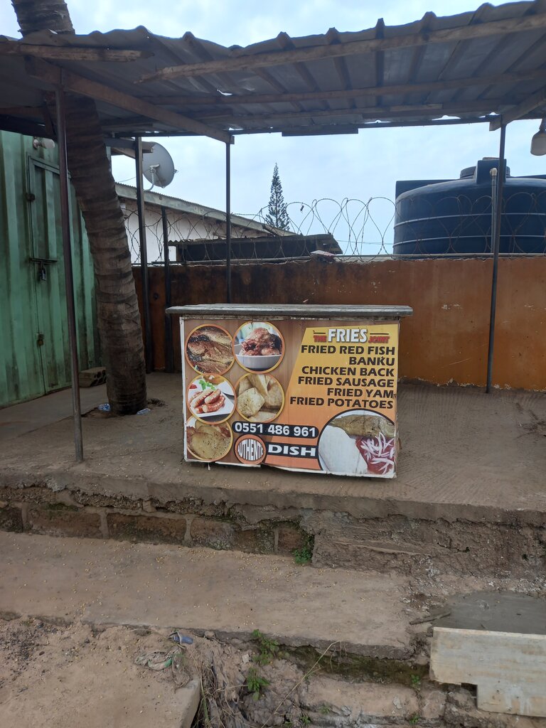 Fast food The fries joint, Dünya, foto