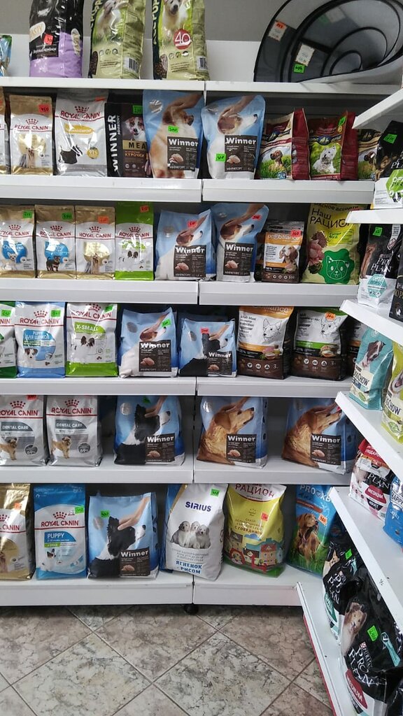 Petshop Kotopes, Krasnodarski krayı, foto
