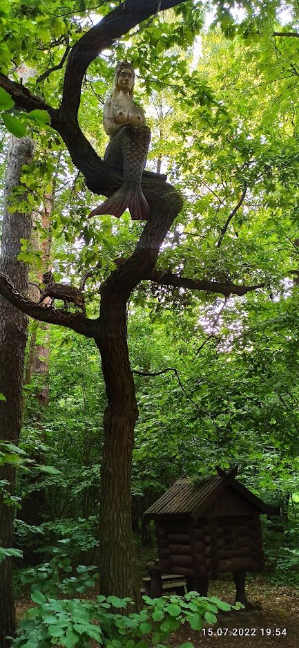 Park, sokak heykeli У Лукоморья, Moskova ve Moskovskaya oblastı, foto