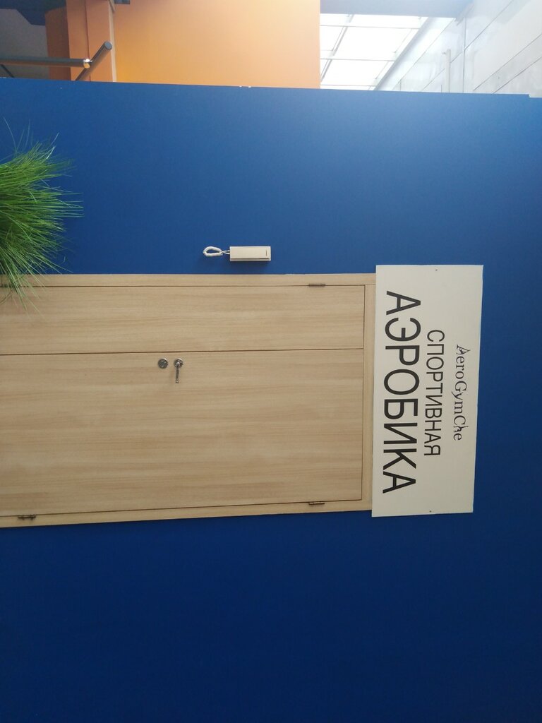 Spor kulüpleri AeroGymChe, Novosibirsk, foto