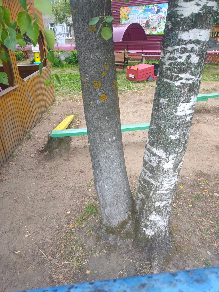 Anaokulları Детский сад Улыбка, Manturovo, foto