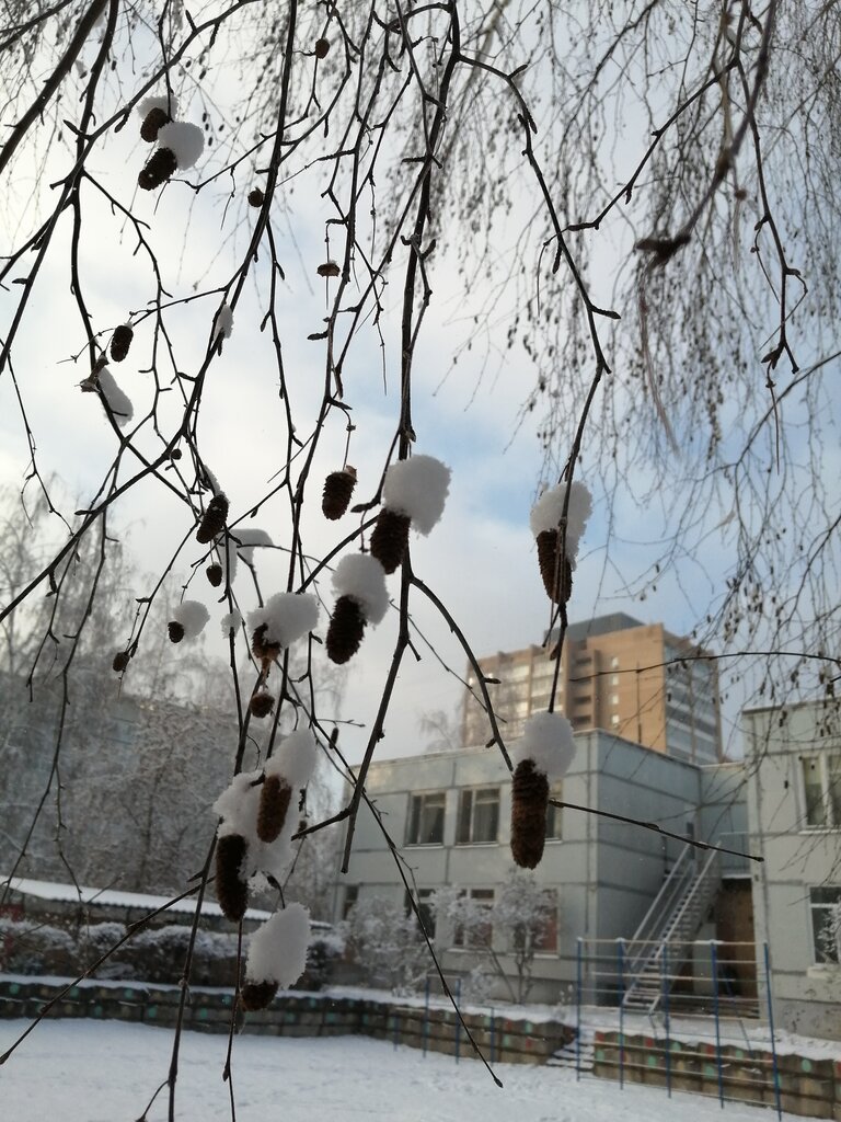 Anaokulları Detsky sad № 170, Tolyatti (Togliatti), foto