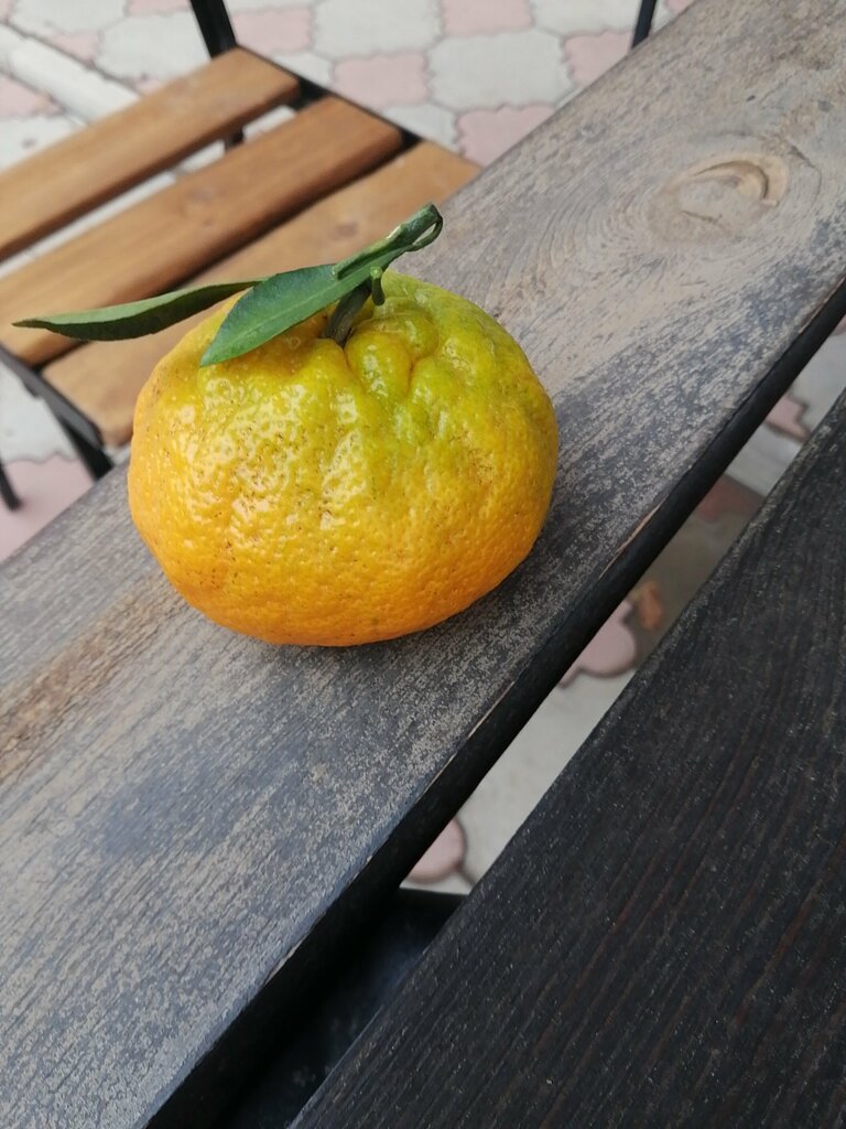 Reklam ajansları Brizneft, Neftekumsk, foto