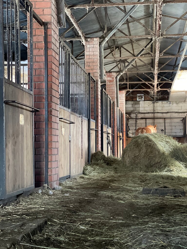 At ve binicilik kulüpleri Конно-спортивный клуб Horsesdurg, Ozersk, foto