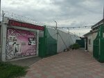 Korona (Traktornaya ulitsa No:2Б), saunalar  Engels'ten