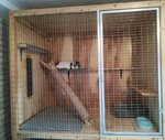 Отель для кошек (Vesennyaya ulitsa No:3, Sovetskiy), pet otel  Sovetski'den