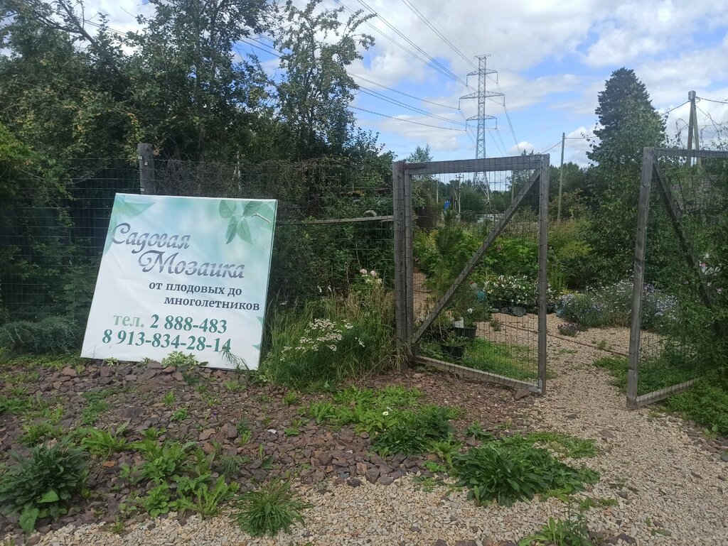 Tohum üretimi Садовая мозаика, Krasnoyarsk, foto