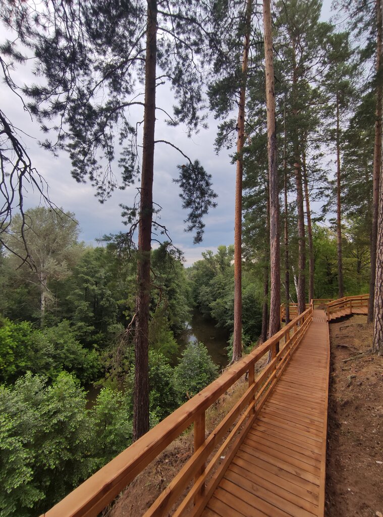 Resort oteller, tesisler Shishki_v_boru, Orenburgskaya oblastı, foto