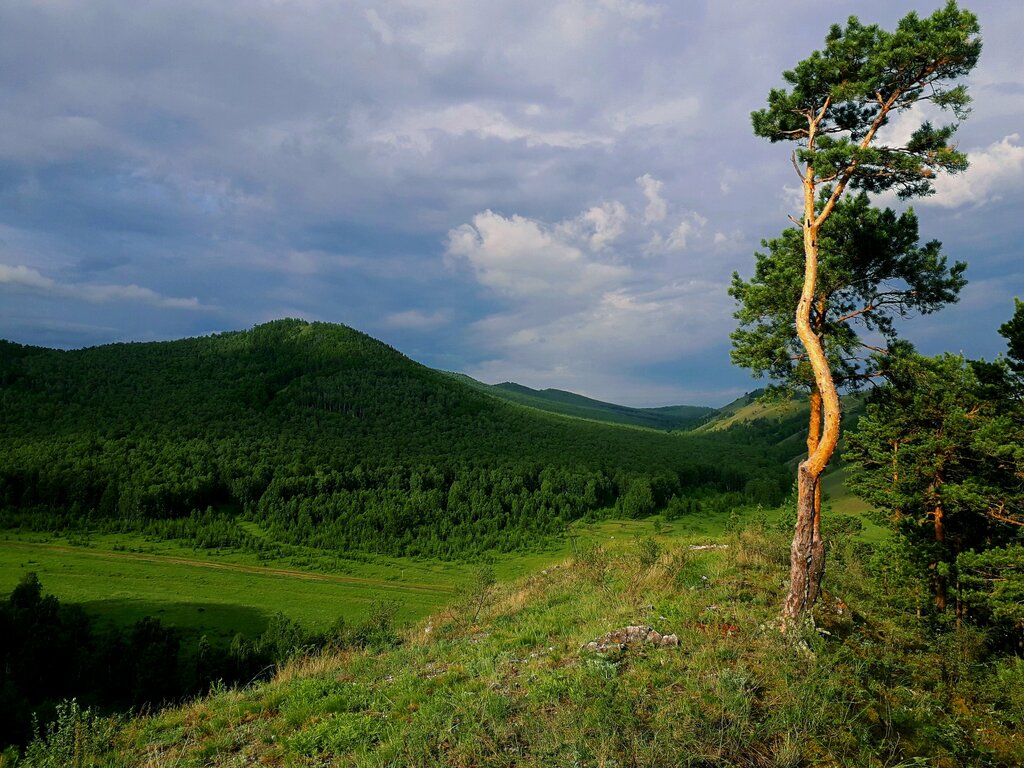 Dağ zirvesi Гора Ихвалиха, Hakasya, foto
