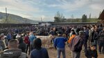 Мол бозор (Sughd Province, Panjakent), pazarlar ve çarşılar  Pencikent'ten
