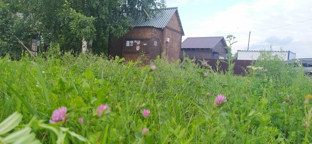 Bahçecilik dernekleri ve kuruluşları СНТ Сибиряк-2, Novosibirsk, foto