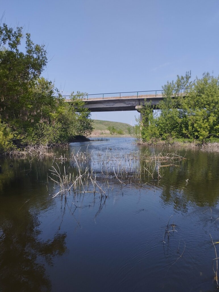 Plaj Пляж, Voronejskaya oblastı, foto