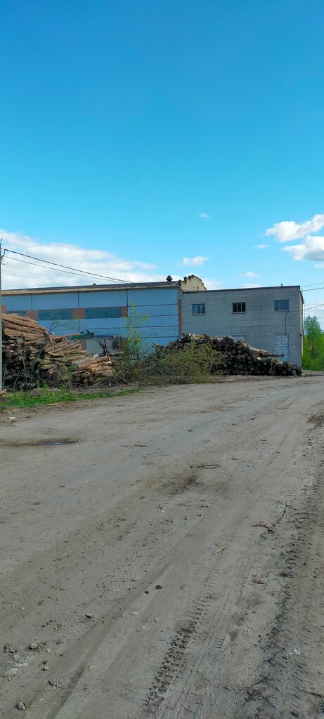 Ahşap endüstrisi Деревообрабатывающее предприятие, Şatsk, foto