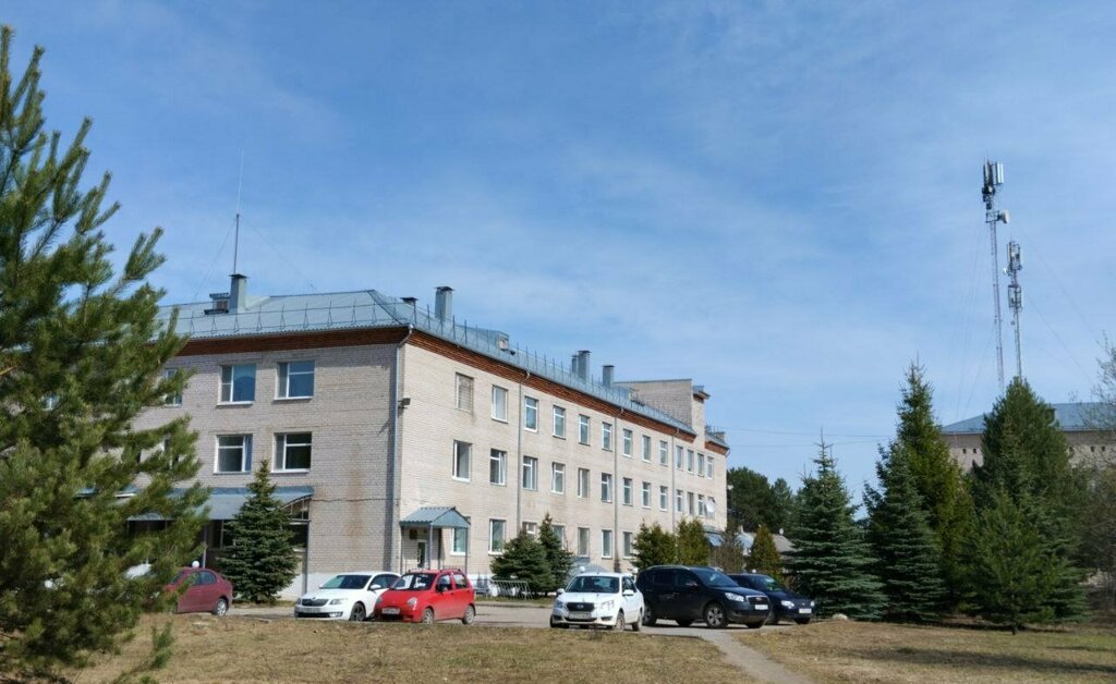 Aşılama noktası Пункт вакцинации в Буз ВО Вашкинская ЦРБ, Vologodskaya oblastı, foto