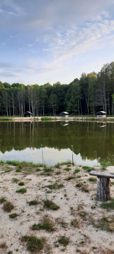 Resort oteller, tesisler Усадьба Бацкино, Brianskaya oblastı, foto