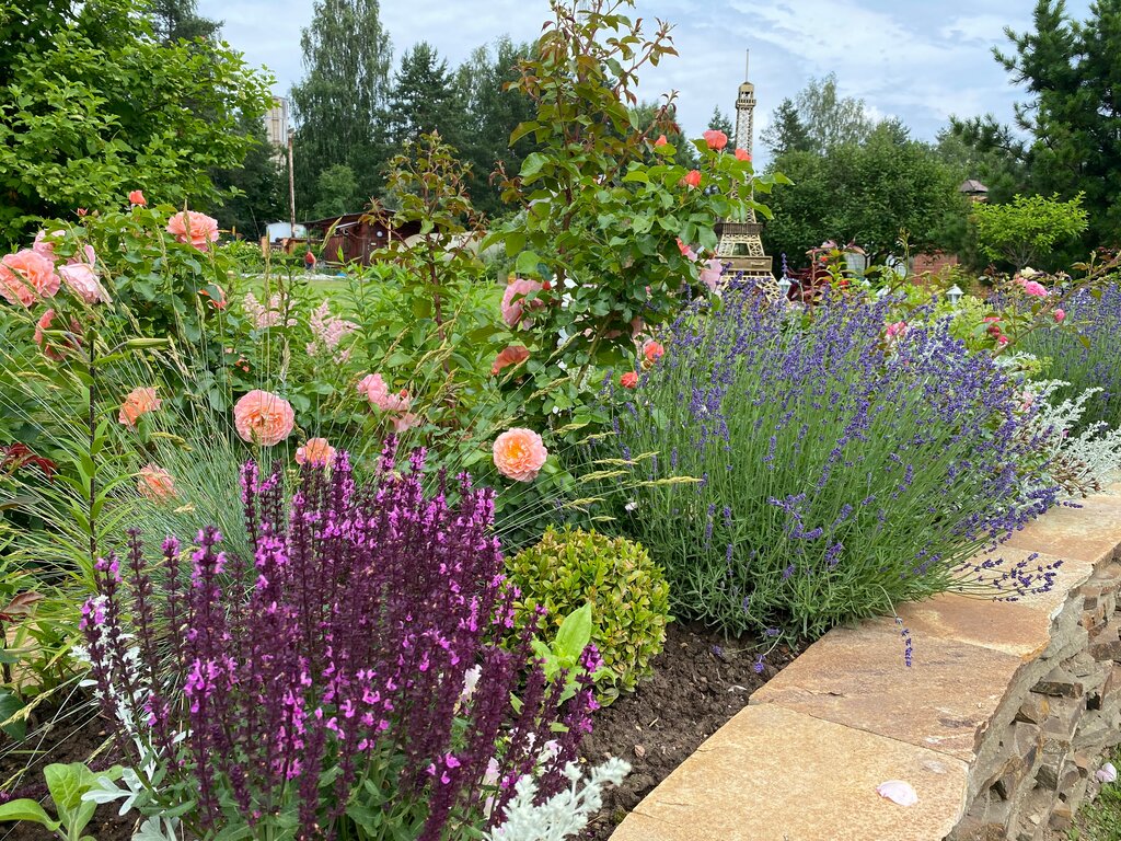 Peyzaj tasarımı Gardens Design Landscape & Gardens, Moskova ve Moskovskaya oblastı, foto