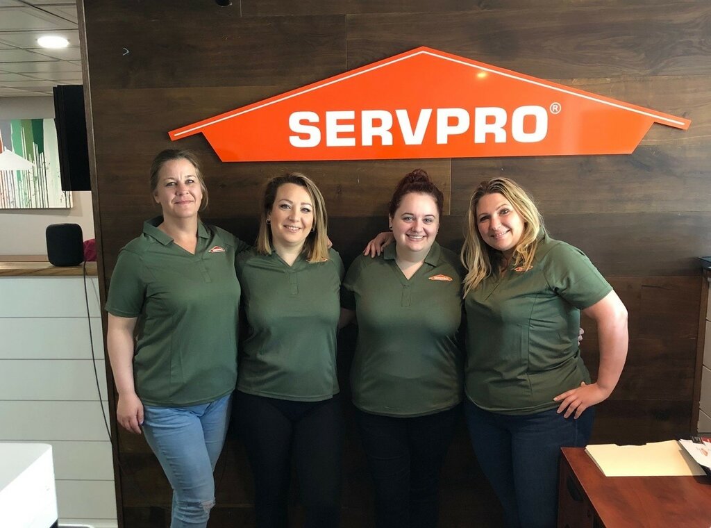 Halı yıkamacılar Servpro of Saugus, West Lynn, Saugus, foto