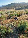Dukcha (Magadanskoye Highway No:24), kanatlı hayvan ürünleri ve yumurta  Magadan'dan